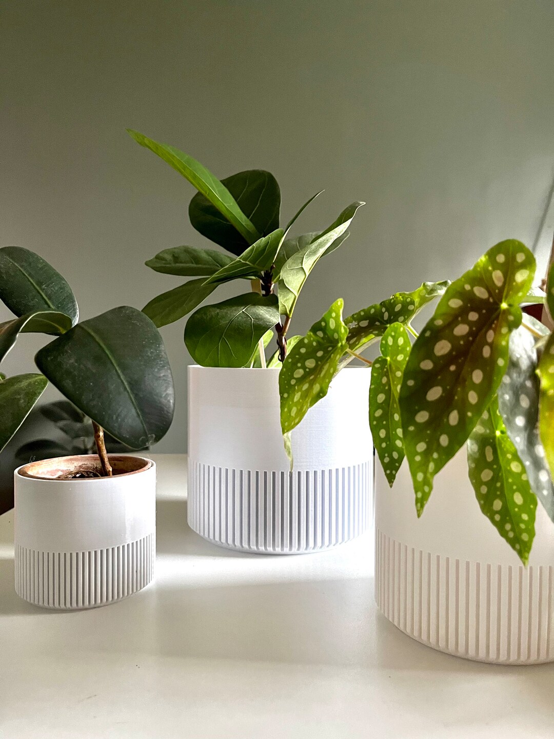 Set of 3 - Stacking Geometric Plant Pots - Etsy Canada