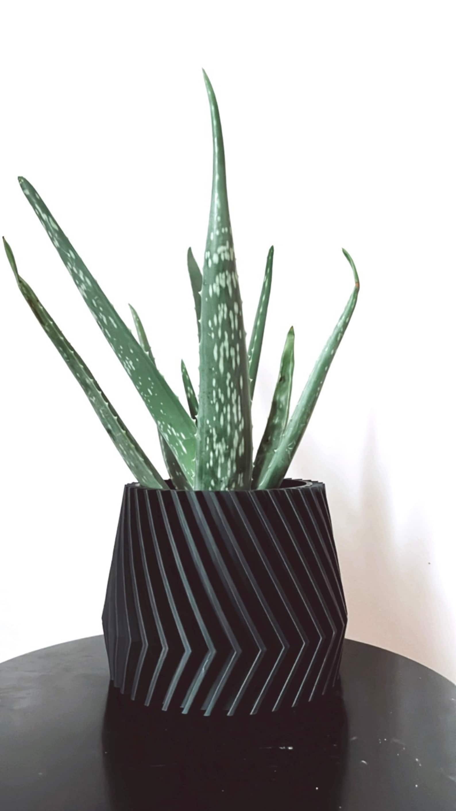 Geometric Plant Pot Set: Minimalist Planters, Eco-friendly - Etsy