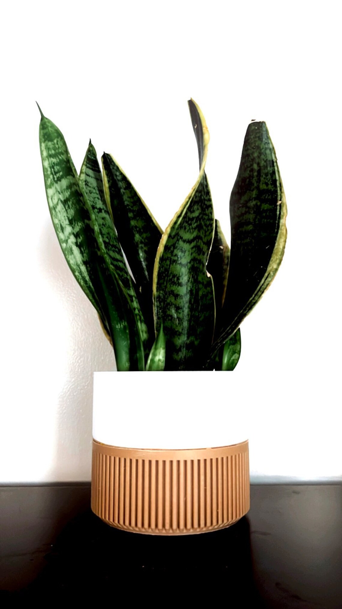 Set of 3 Stacking Geometric Plant Pots - Etsy Canada