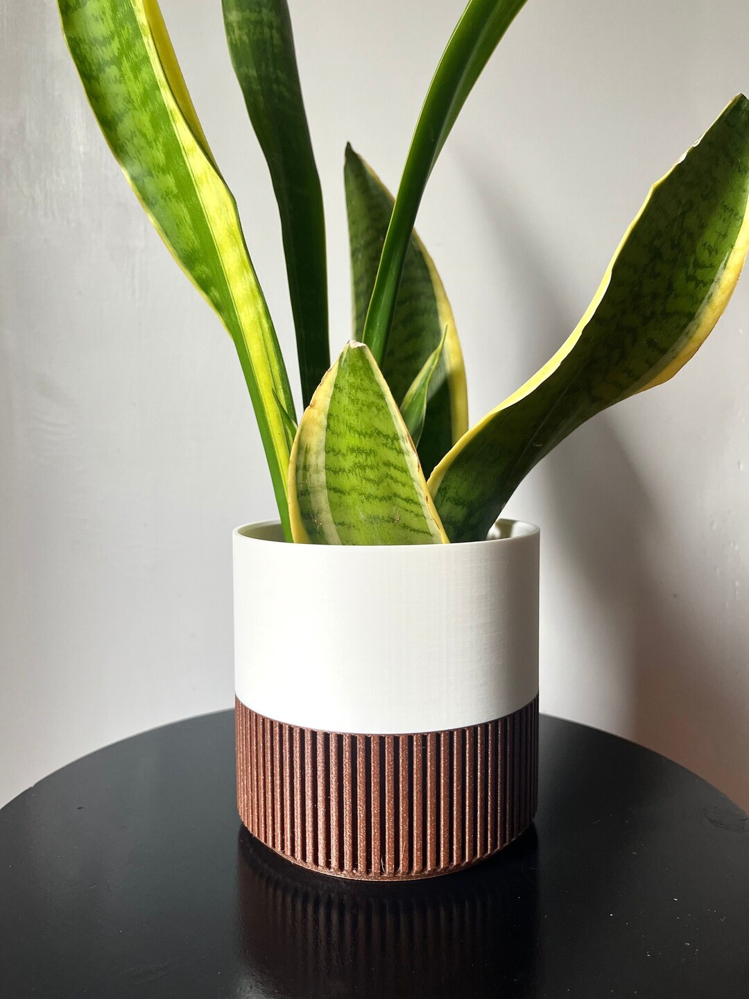 Two-toned Cedar & Colour Plant Pot in Olive, White, Rust and Black ...