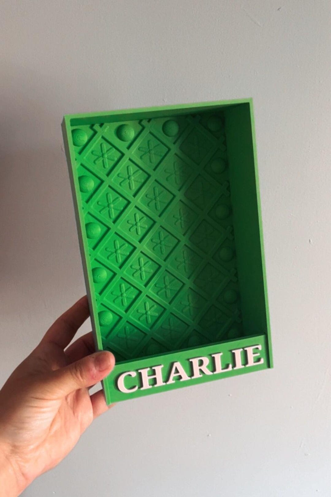 Personalized Reptile Feeder | Lizard Feeder | Insect Feeder Box, Bug ...