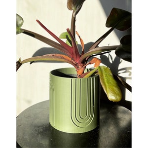 Rainbow Wave Plant Pot in White, Black, Olive Green, Blue and Wood | 3 ...