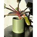 Rainbow Wave Plant Pot in White, Black, Olive Green, Blue and Wood | 3 ...