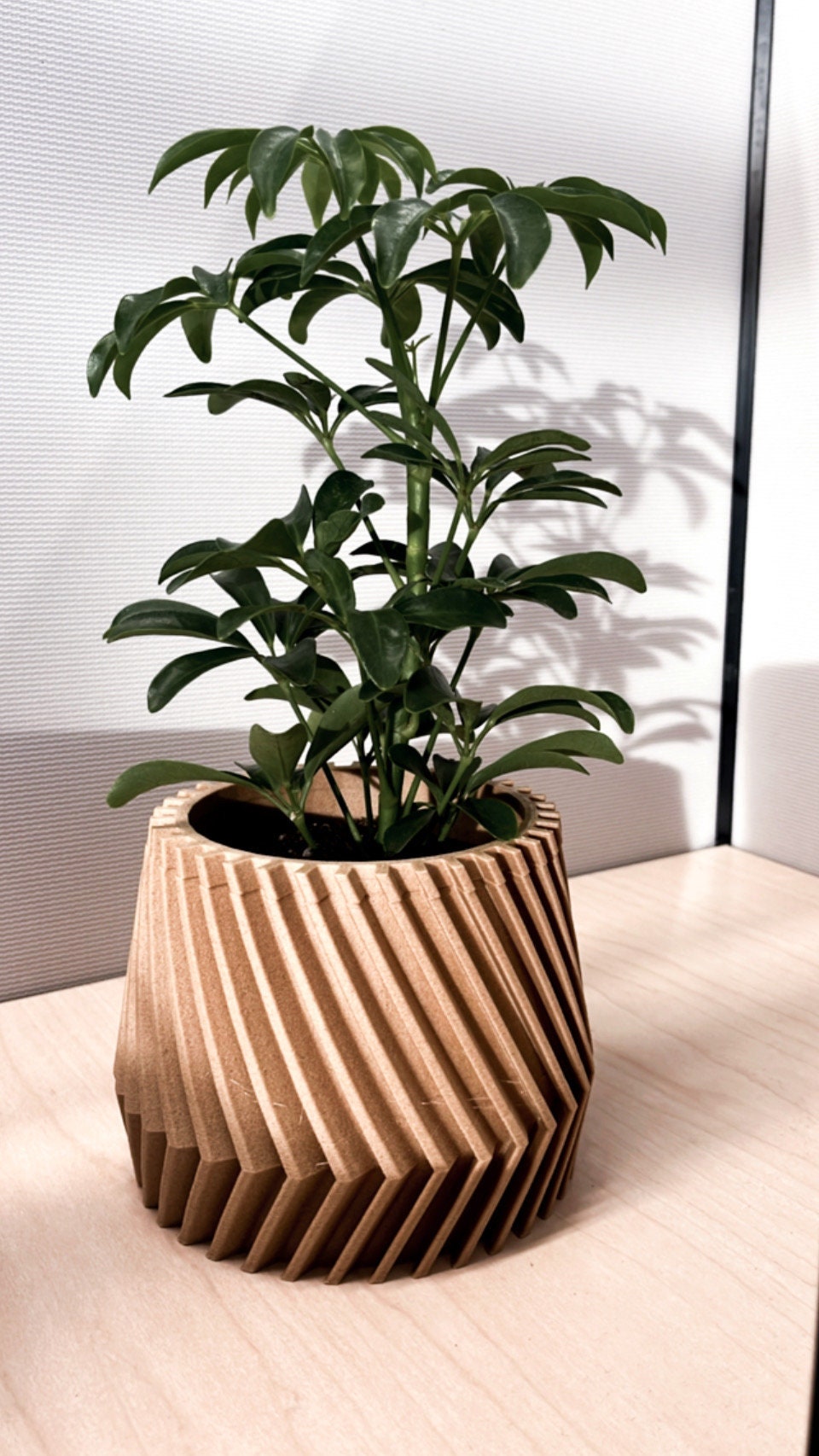 The Vector Plant Pot in White, Black, Olive Green, Blue or Wood 3 4 6 ...