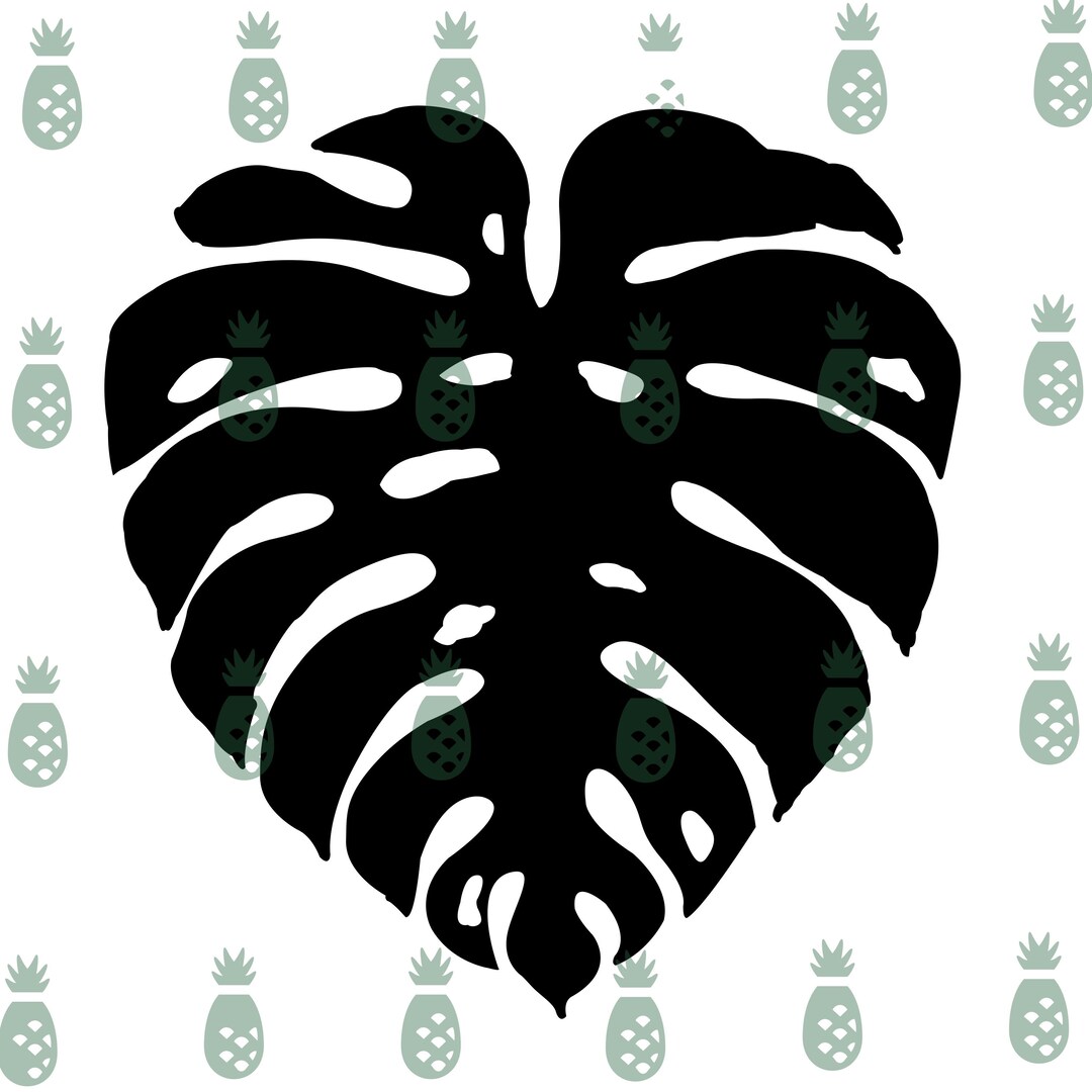 Monstera 3 Leaf Pack SVG/PNG/PDF - Etsy