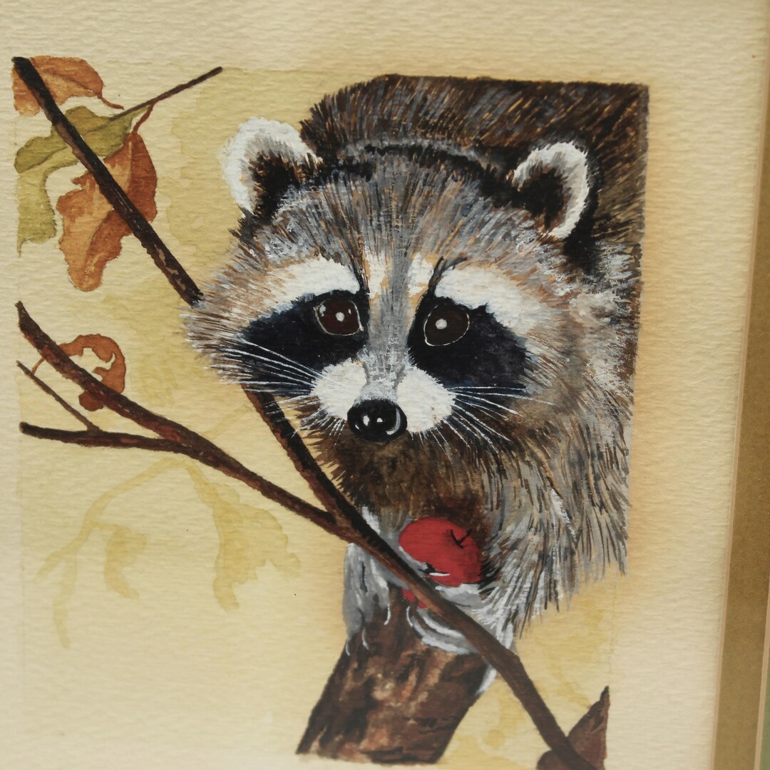 Original Raccoon Watercolor Painting Framed, Signed, Artist, Wildlife ...