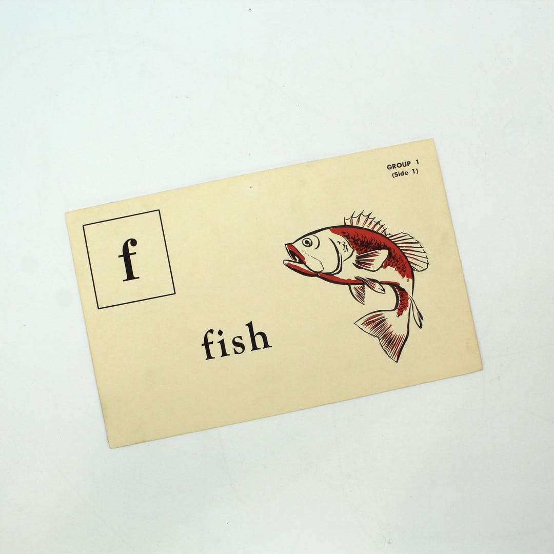 1950s "fish" Alphabet Flash Card - Words, Letters, Pictures, School ...