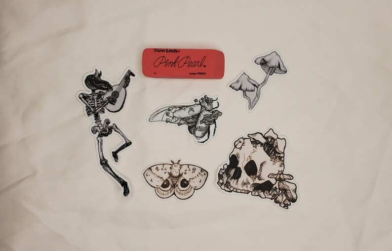 Black and Grey Stickers Original Art Cycle of Decay Mushrooms Skulls ...