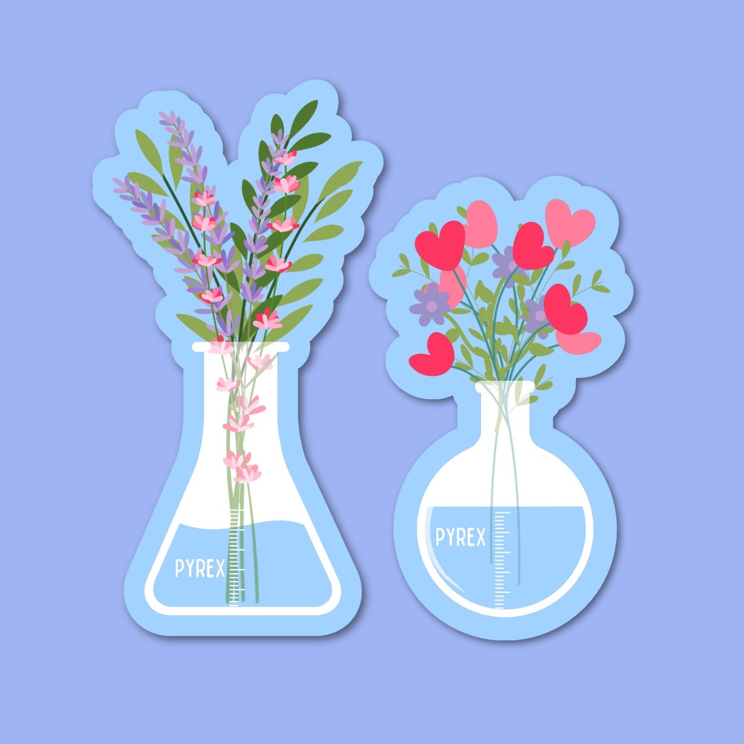 Lab Glassware Vinyl Sticker Duo. Conical Flask With Flowers and Round ...