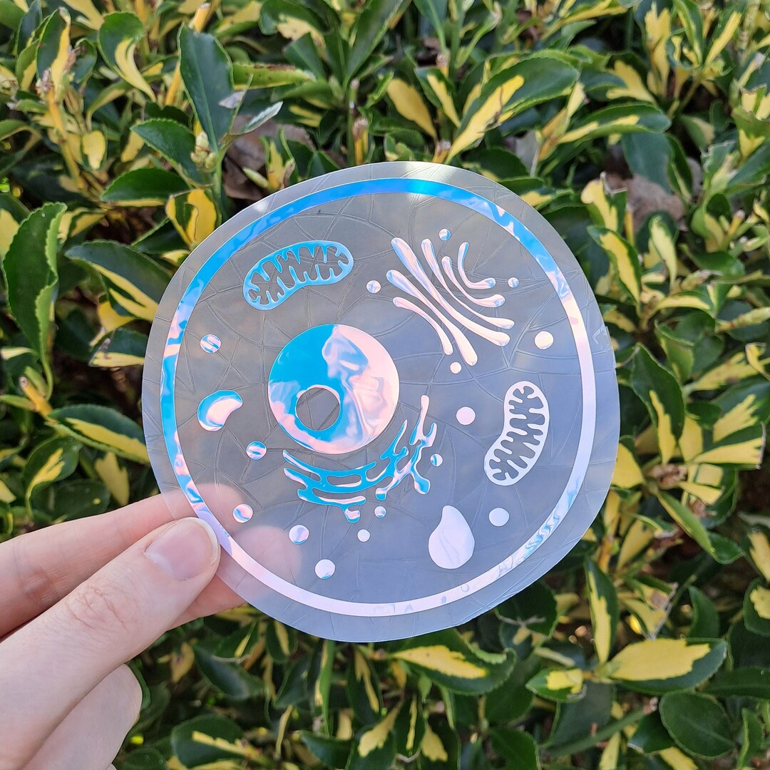 Animal Cell Science Suncatcher Window Cling I Cell Window - Etsy