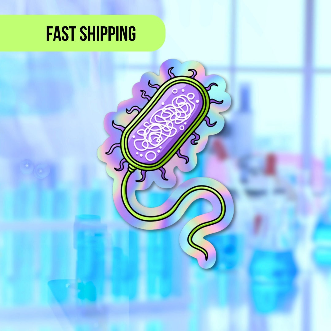 Holographic Bacteria Sticker Ideal Microbiology Gift for - Etsy