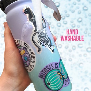 Quark Quantum Physics Vinyl Sticker. Quark Duck Pun Sticker. Funny ...