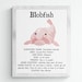 3 SIZES- Blobfish Facts Print-educational Classroom Poster-nature Wall ...