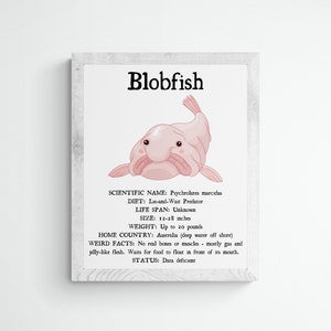 3 SIZES- Blobfish Facts Print-educational Classroom Poster-nature Wall ...