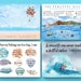 SET of 4 POSTERS in 4 SIZES! Calm Down Corner Ocean Themed Classroom ...