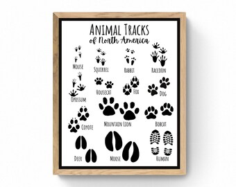 Animal Tracks Chart - Etsy