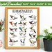 4 SIZES Backyard Bird Song Calls Mnemonics Print-birding Poster ...