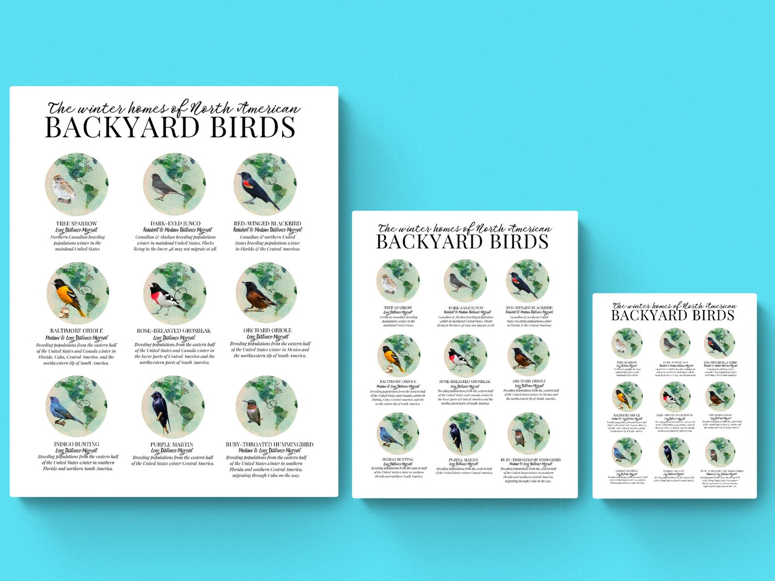 3 Sizes-winter Homes of North American Backyard Birds Chart-birding ...
