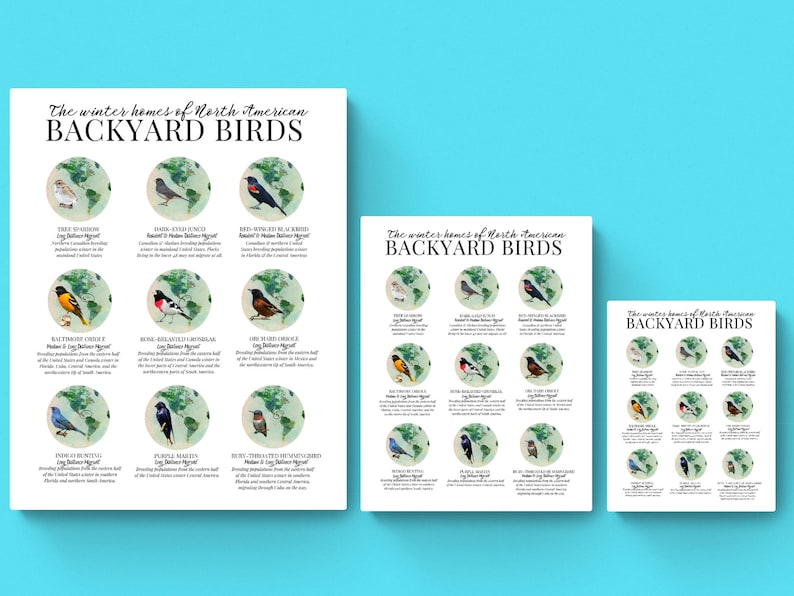 3 Sizes-winter Homes of North American Backyard Birds Chart-birding ...