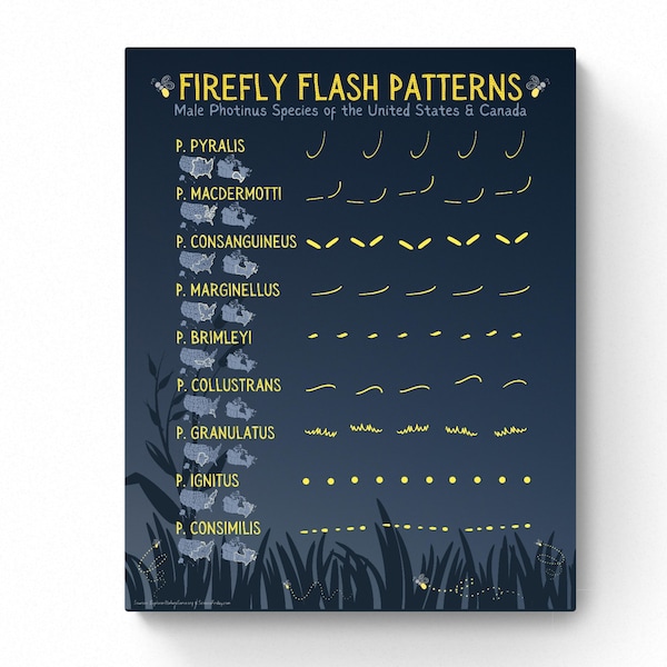 Lightning Bug - Etsy