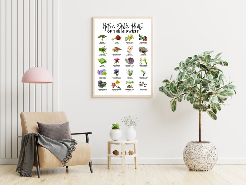 3 SIZES Native Midwest Edible Plants Identification Chart-midwestern ...