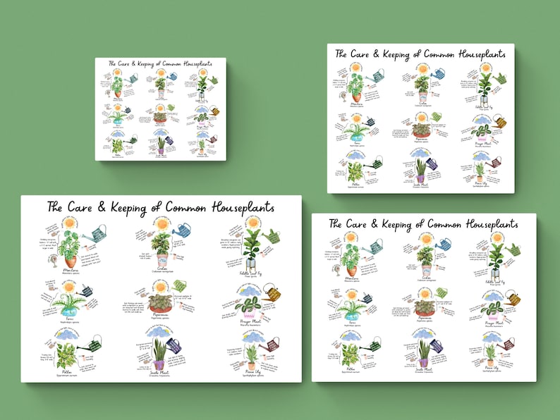 Illustrated Care Guide for Common Houseplants-indoor Plant Care ...