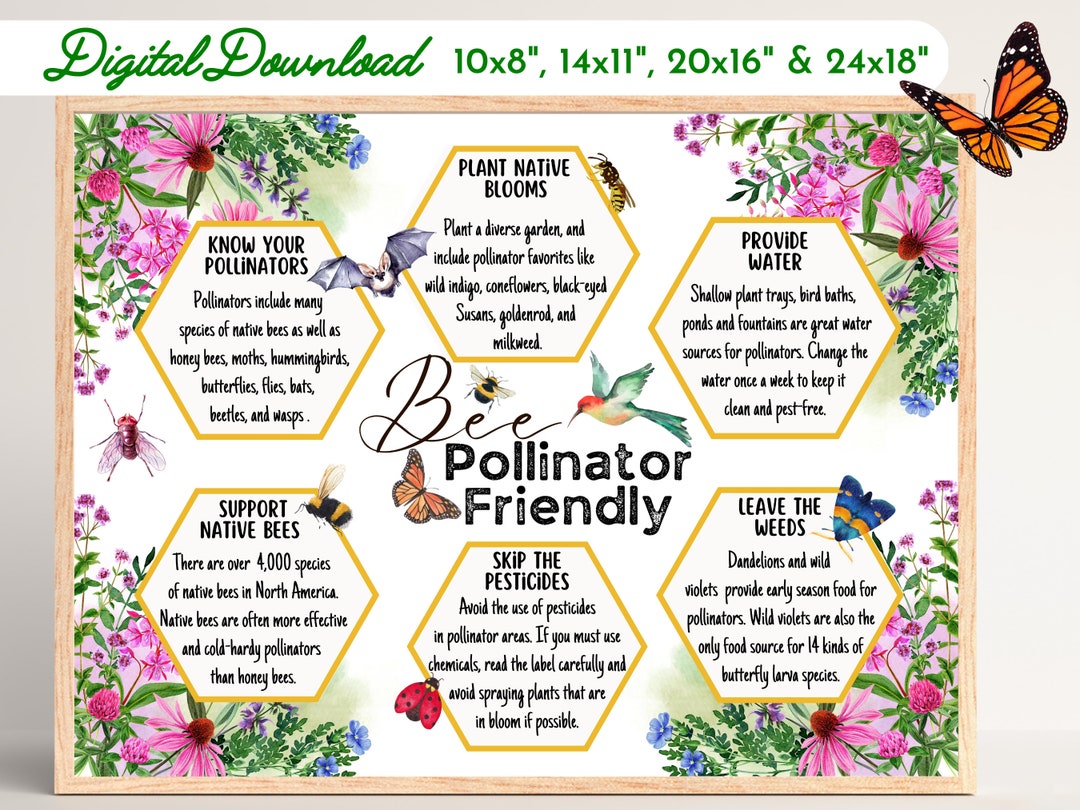 Bee Pollinator Friendly Print-save the Bees-native Prairie-butterfly ...