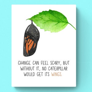 SET of 4 POSTERS in 4 SIZES! Butterfly Nature Themed Classroom Decor ...