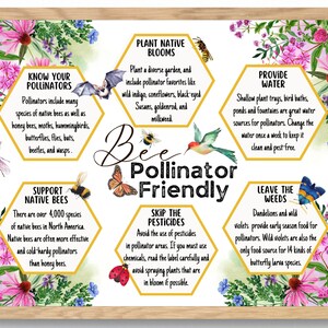 Bee Pollinator Friendly Print-save the Bees-native Prairie-butterfly ...