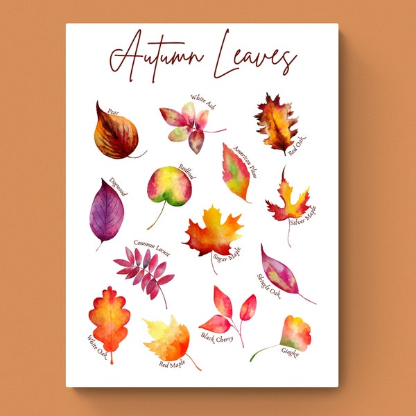 Leaf Identification Print - Etsy