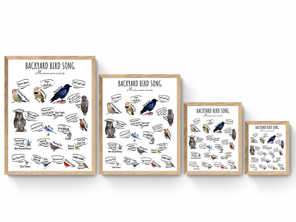 4 SIZES Backyard Bird Song Calls Mnemonics Print-birding - Etsy