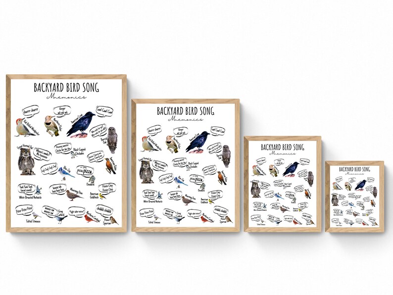 4 SIZES Backyard Bird Song Calls Mnemonics Print-birding | Etsy