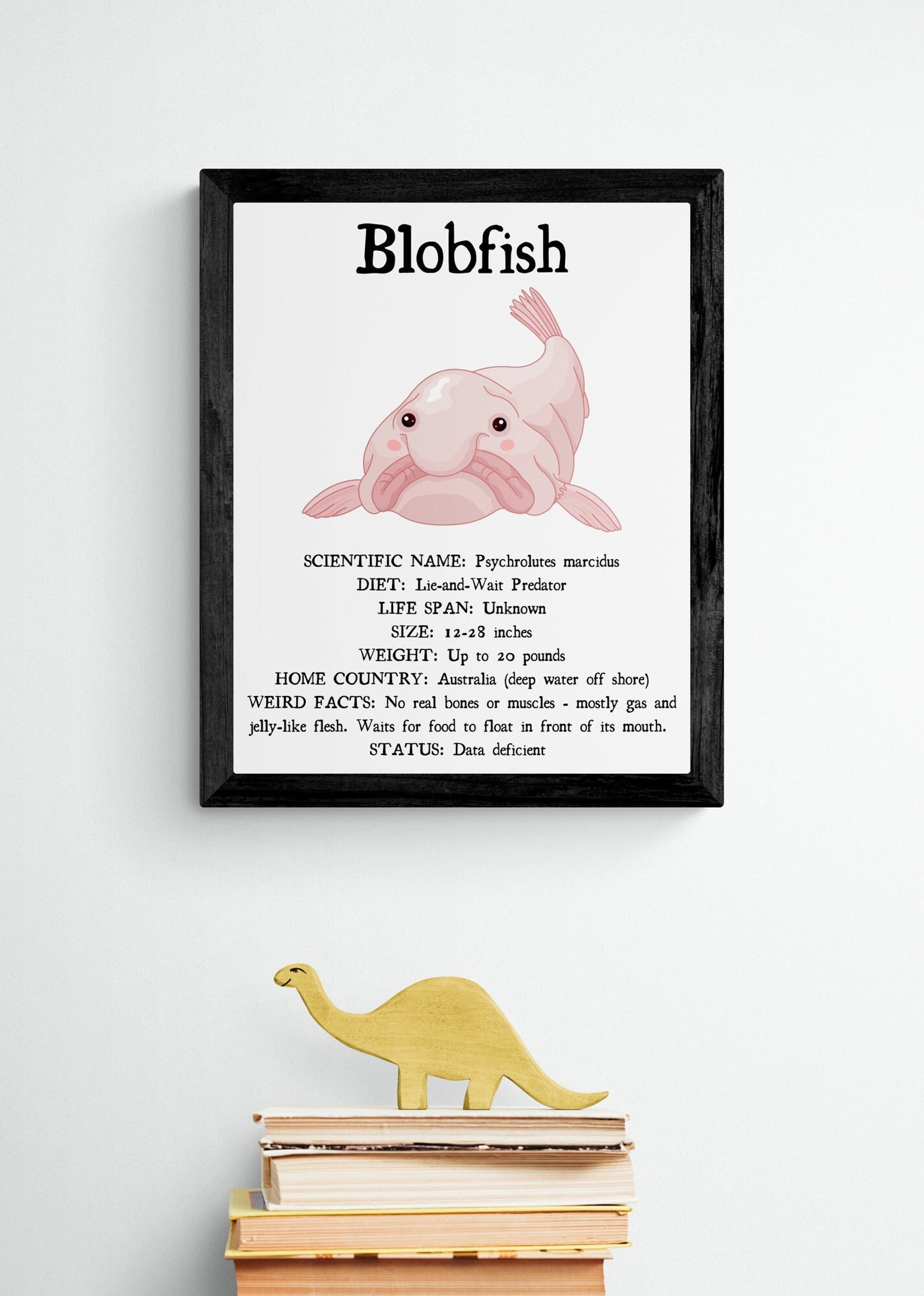 3 SIZES Blobfish Facts Print-educational Classroom - Etsy