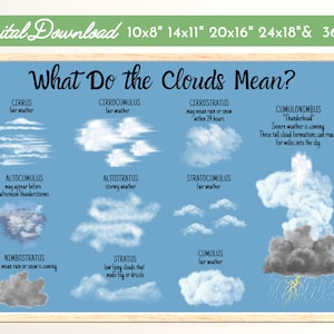 Cloud Types Science ID Poster-weather - Etsy UK