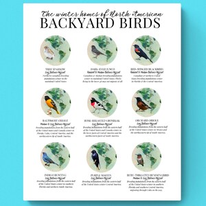 3 Sizes-winter Homes of North American Backyard Birds Chart-birding ...