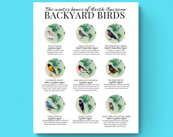 Birds Birding Chart - Etsy