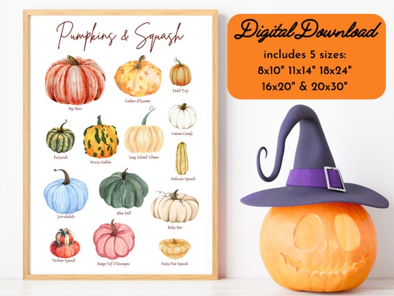 Pumpkin Species Identifier