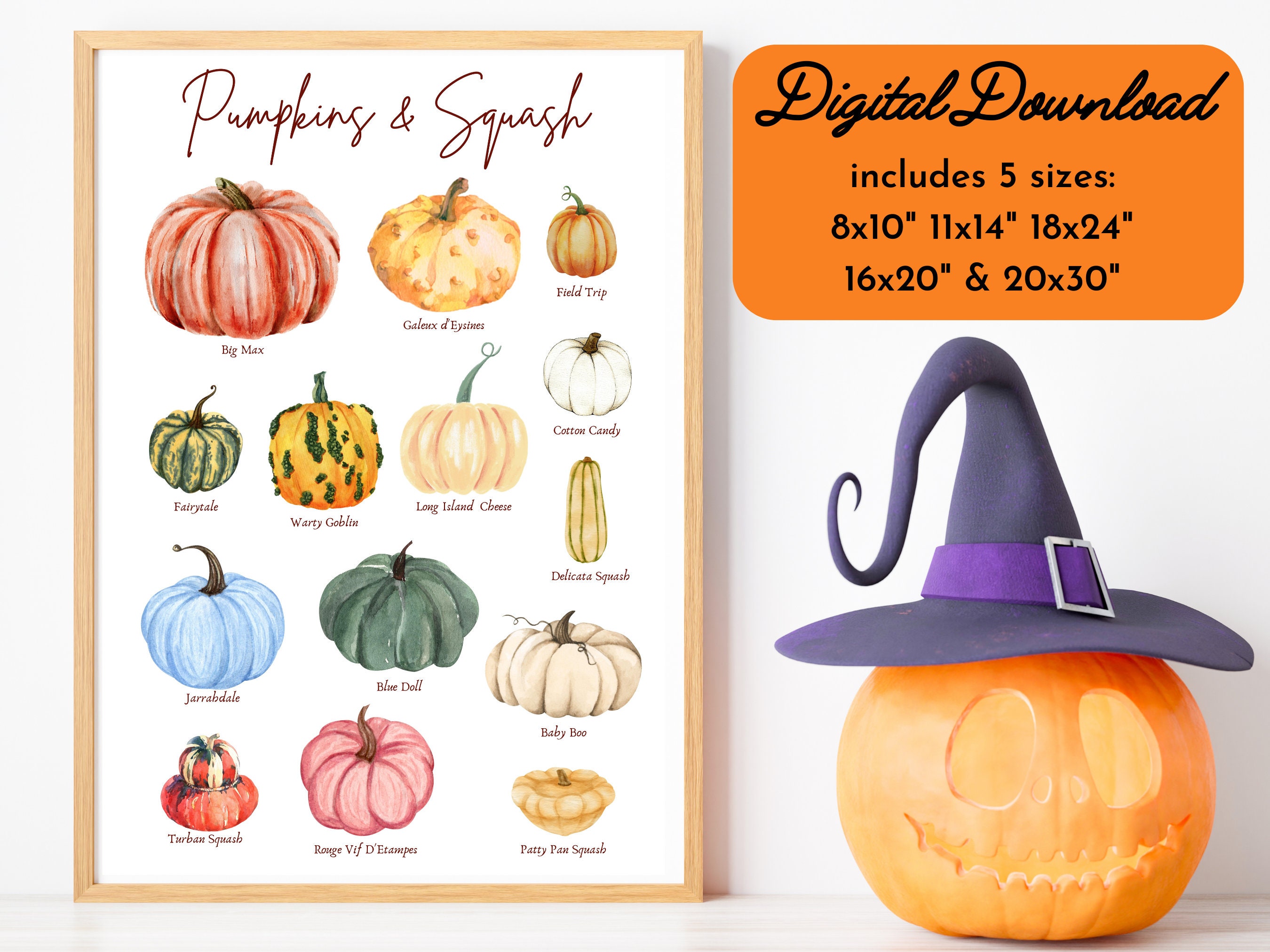 Pumpkins Squash Common Names Print-fall Decor-cucurbit - Etsy