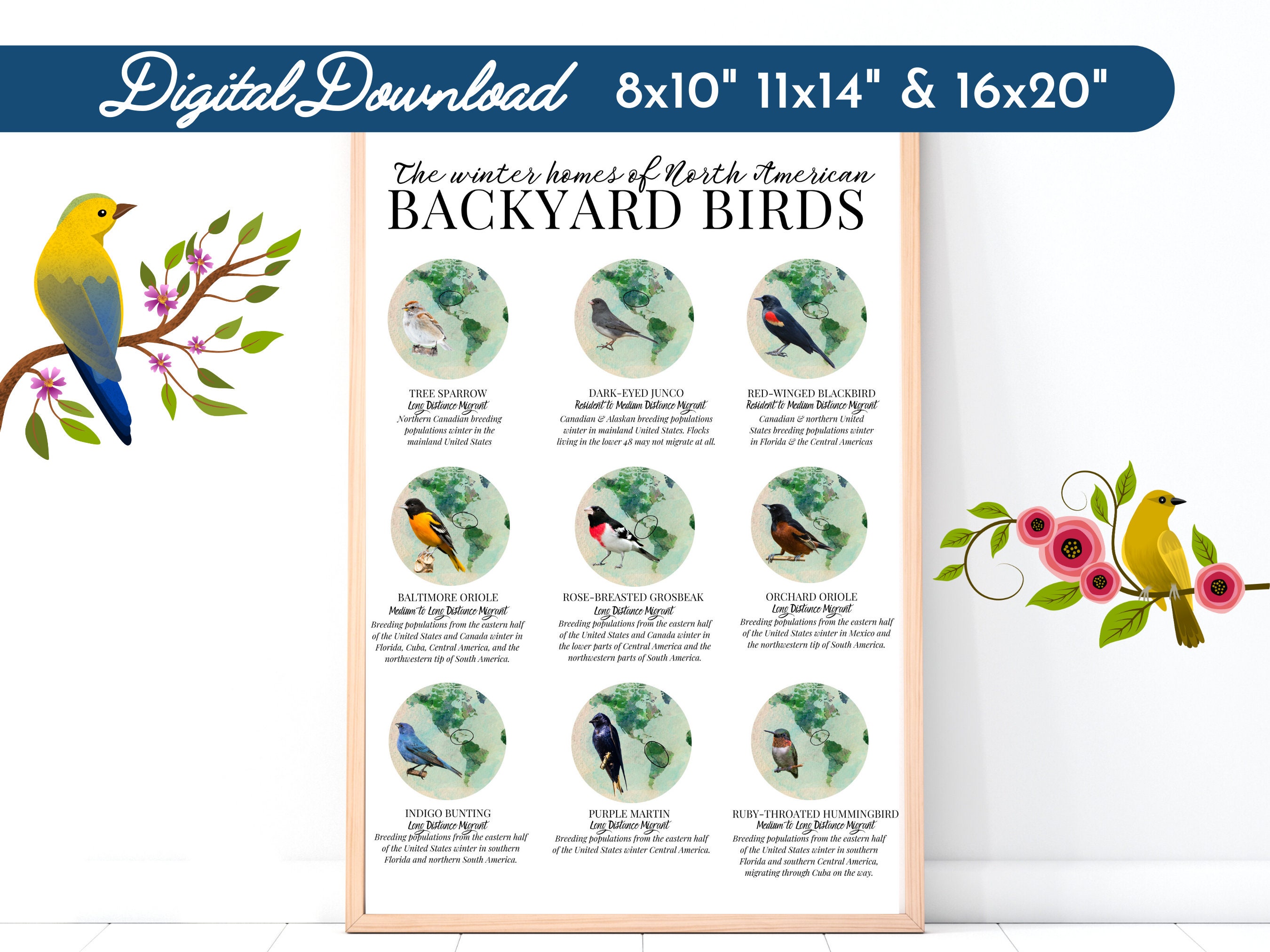 3 Sizes-winter Homes of North American Backyard Birds Chart-birding ...