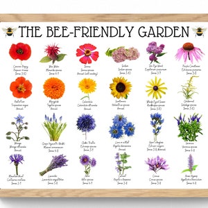 Bee Friendly Garden Print-top Flowers Pollinators-save Bees Butterflies ...