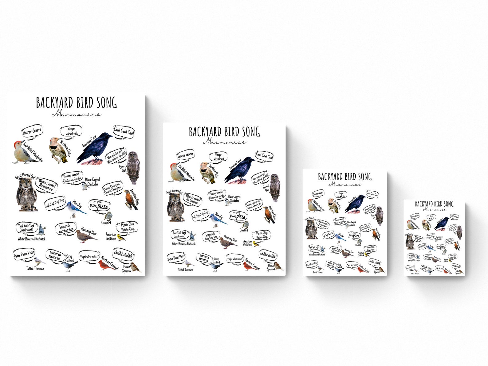 4 SIZES Backyard Bird Song Calls Mnemonics Print-birding - Etsy