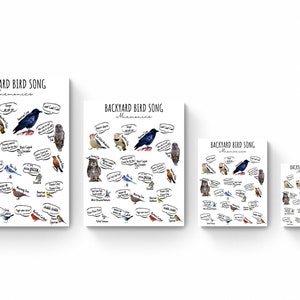 4 SIZES Backyard Bird Song Calls Mnemonics Print-birding Poster ...