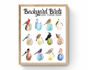 4 SIZES Backyard Bird Song Calls Mnemonics Print-birding Poster ...