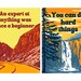Set of 6 POSTERS in 3 SIZES National Parks Themed Growth Mindset ...