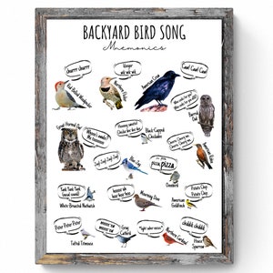 4 SIZES Backyard Bird Song Calls Mnemonics Print-birding Poster ...