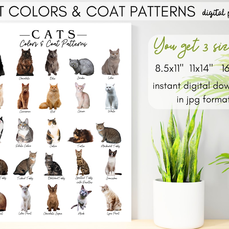 Cat Marking Memorial Gift - 60+ Gift Ideas for 2025