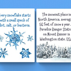 Winter Science Poster Pack-classroom Decor Set-print Bundle-stem ...