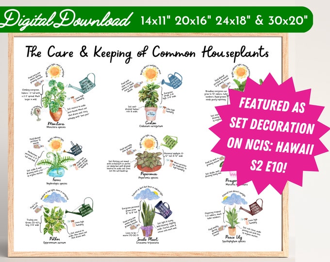 Houseplant Guide, Plant Care Guide, Beginner Plant Chart, Plant Care ...