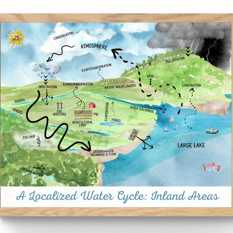 Water Cycle Poster - Etsy UK