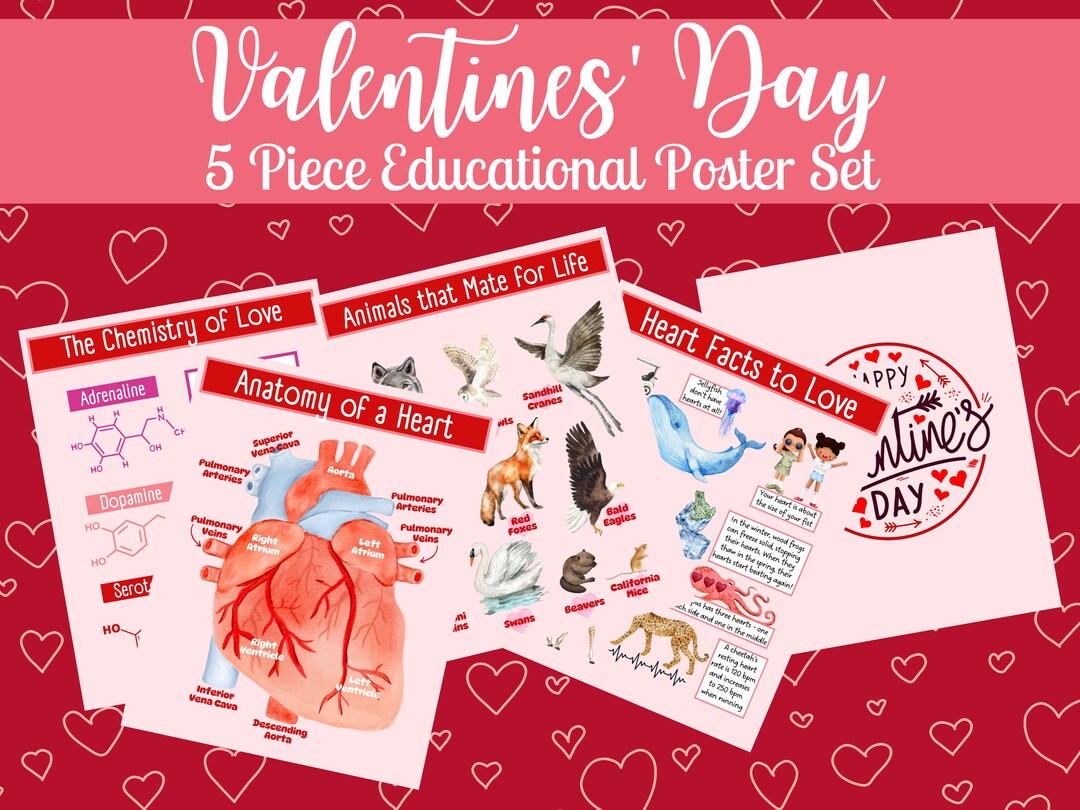 Valentines Day Science Poster Pack-door Decoration-classroom Decor ...